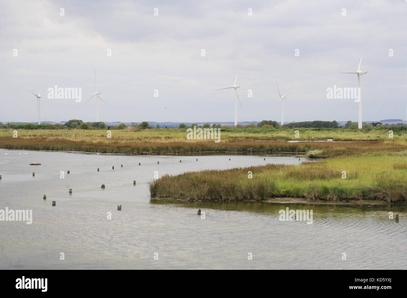 Tetney Marshes with wind turbines, Cleethorpes, Lincolnshire, England ...