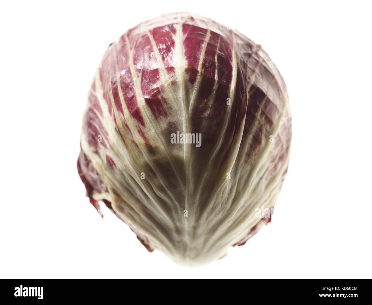 Radicchio Rosso a leaf vegetable with a bitter and spicy taste Stock ...