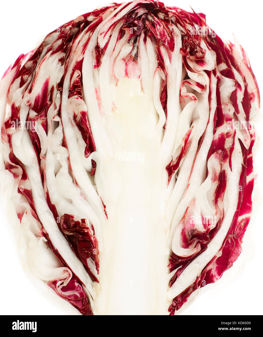 Radicchio Rosso a leaf vegetable with a bitter and spicy taste Stock ...