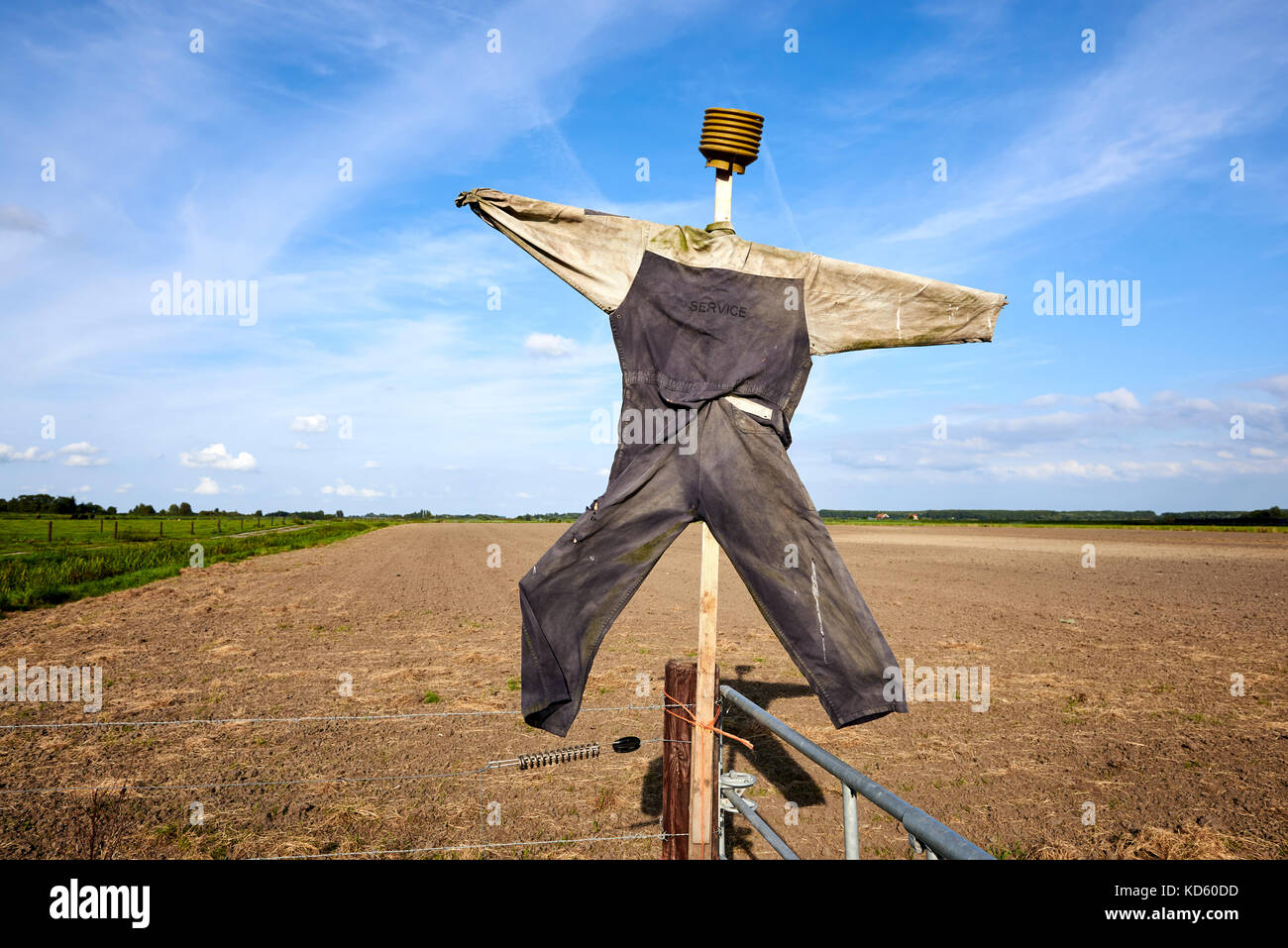 Scarecrow in an agricultural field for chasing birds away Stock Photo ...