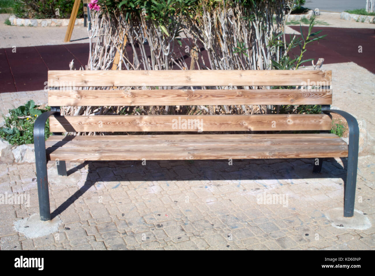 Wooden bench at park view in front Stock Photo - Alamy