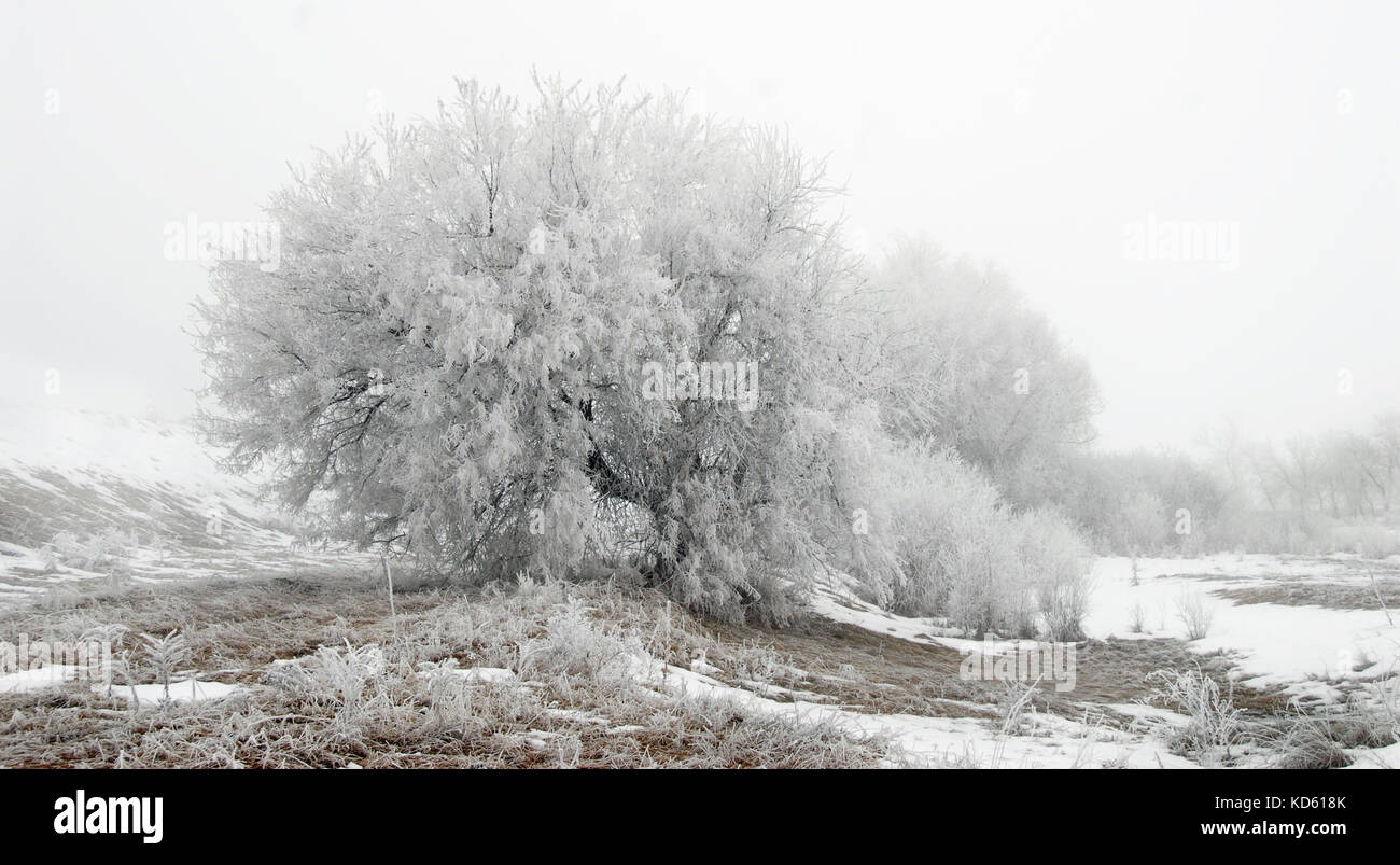 Pea Soup Fog High Resolution Stock Photography and Images - Alamy