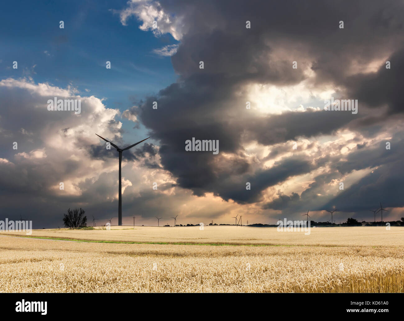 Sights of Poland. Wind farm on Polish seaside Stock Photo - Alamy