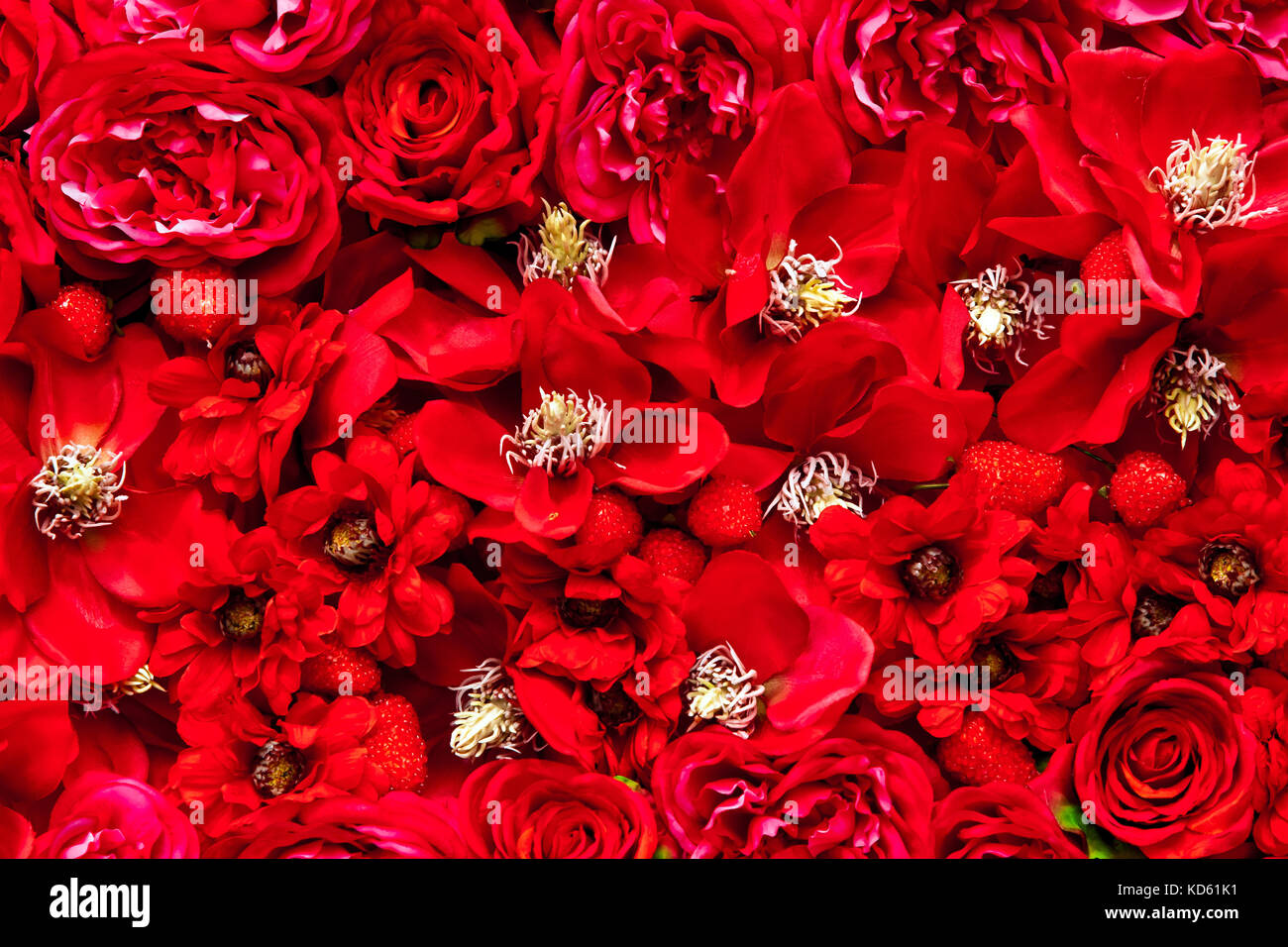 Red color flowers Stock Photo - Alamy