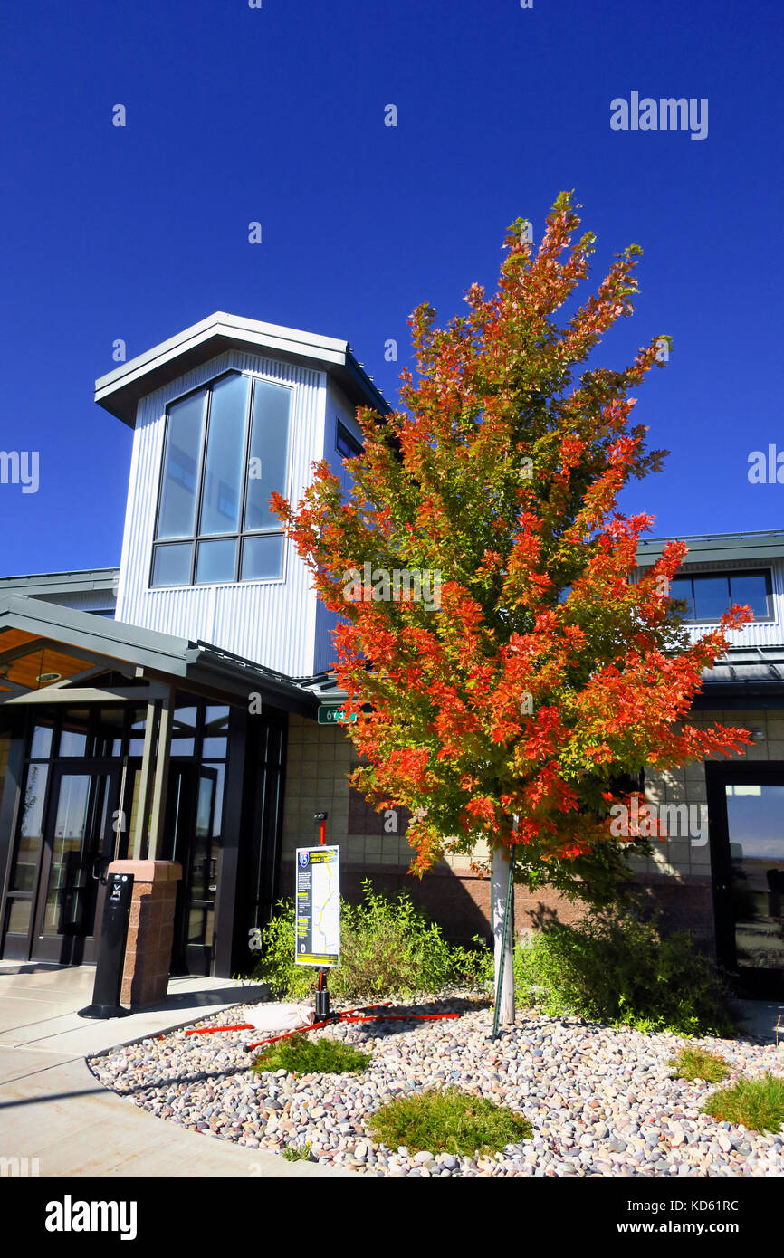 A modern glass rest area with a fall tree out front Stock Photo - Alamy