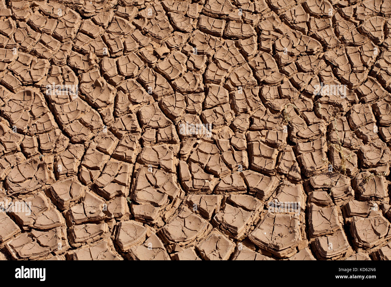 Top view of cracked soil Stock Photo - Alamy
