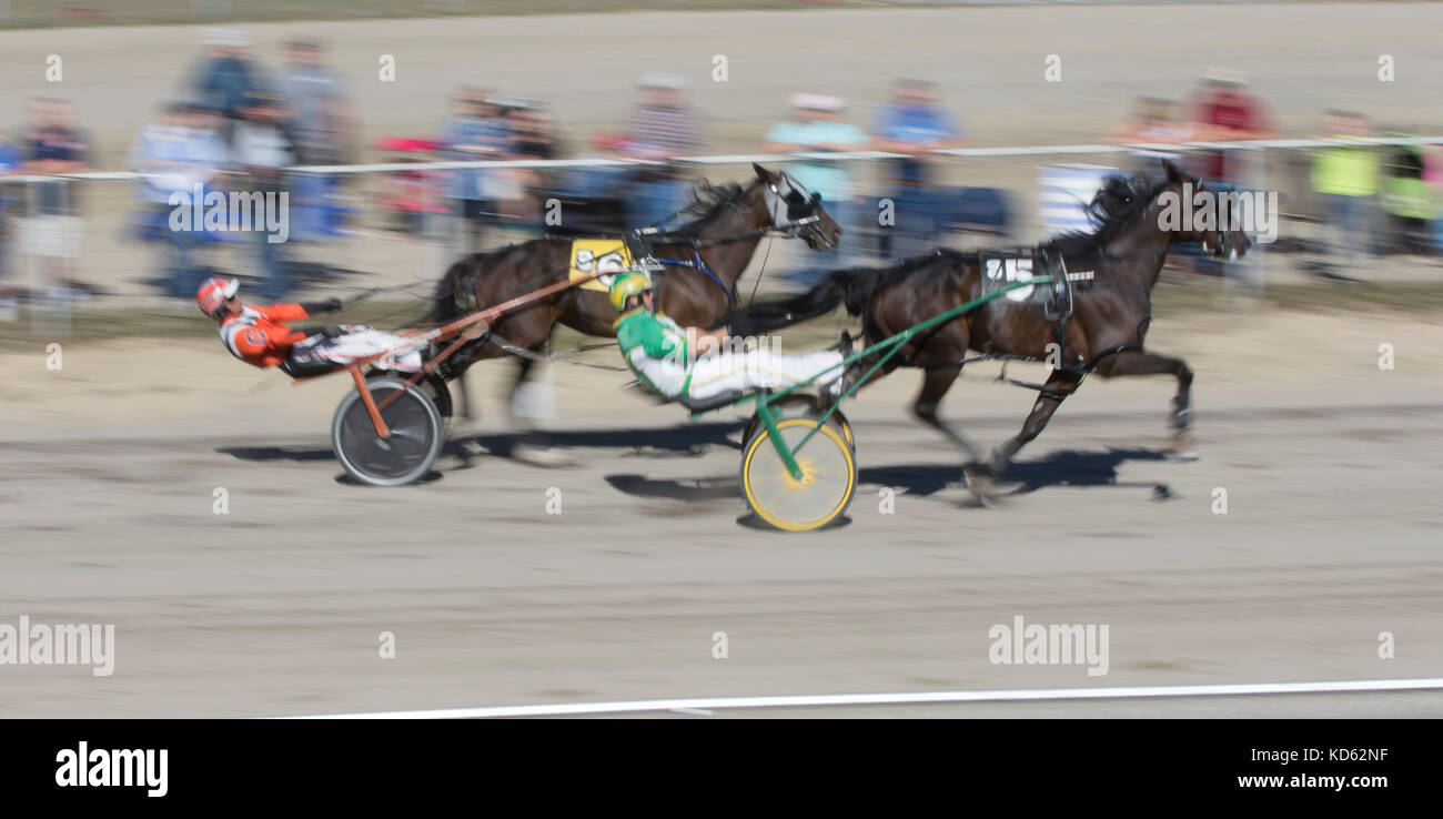 To the finish line - harness racing at the Fryeburg fair, Fryeburg ...