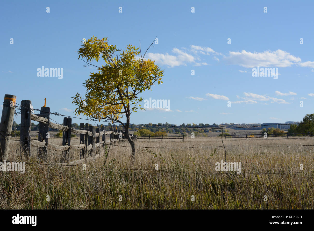 Tree growing wire fence hi-res stock photography and images - Alamy