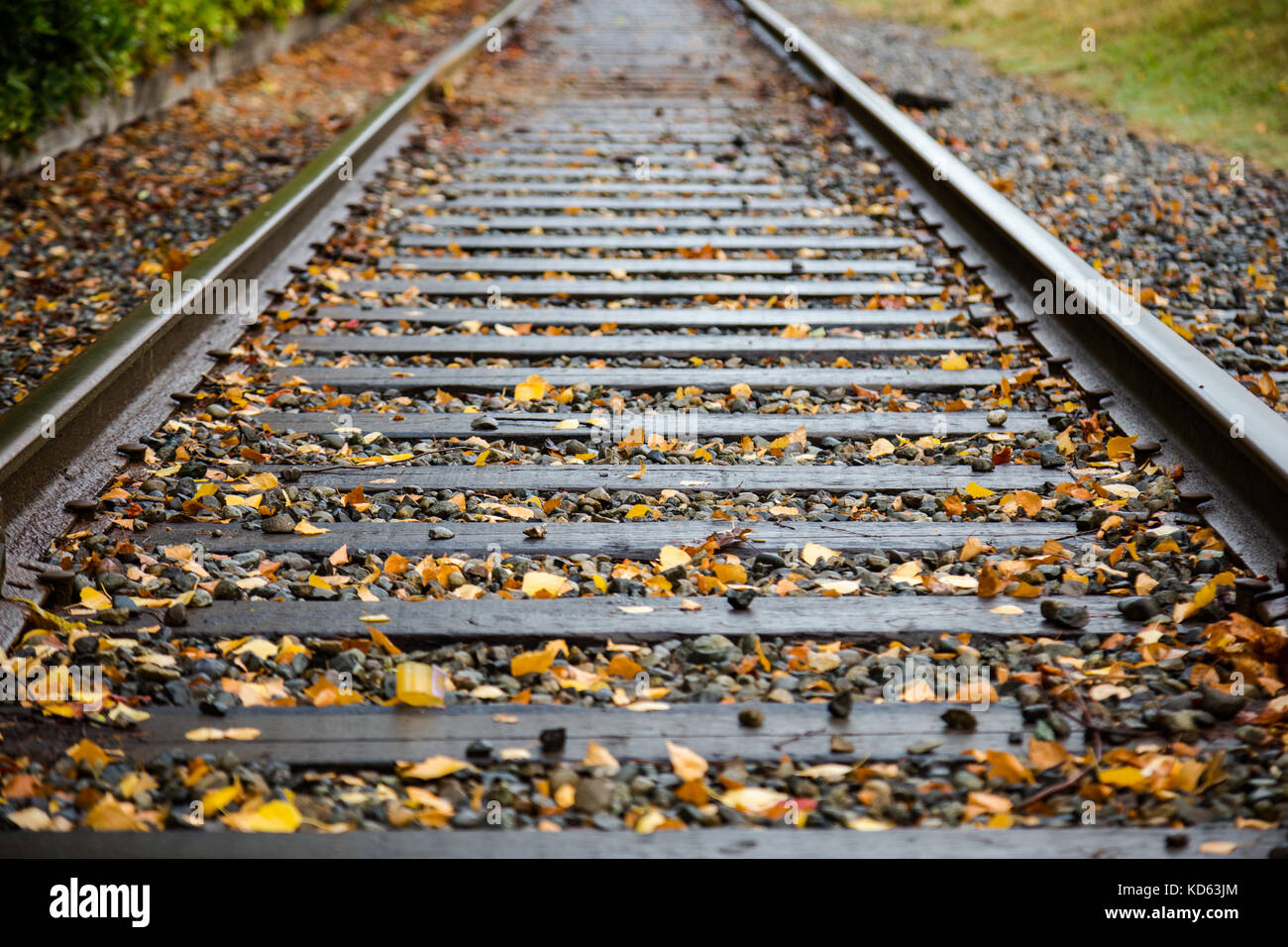 Railrod tracks hi-res stock photography and images - Alamy