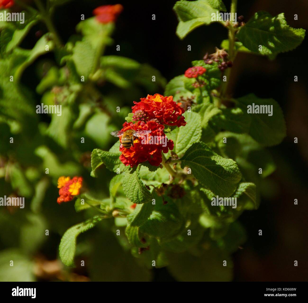 CRETE-GREECE-EXTERIOR-BEAUTY OF NATURE-SENSATIONAL COLORS Stock Photo ...