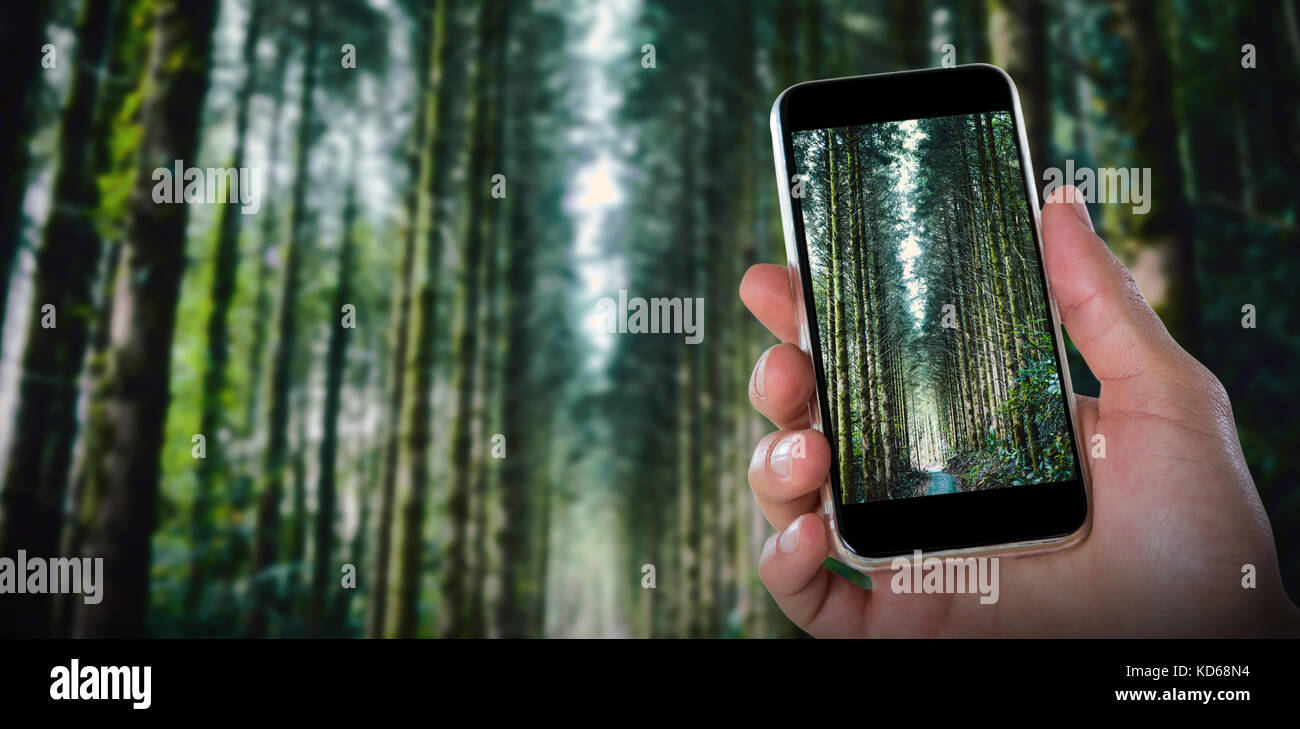 Close-up of hand holding mobile against trees in forest Stock Photo - Alamy