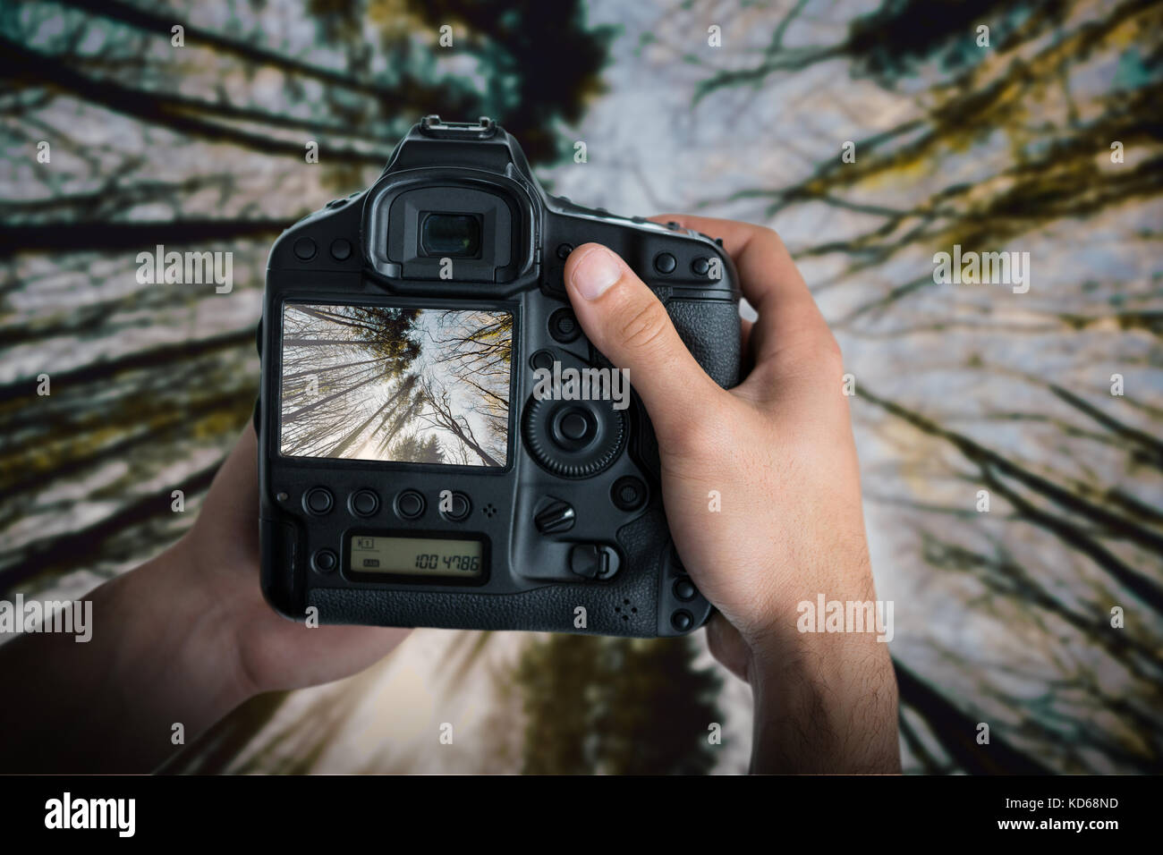 Cropped image of hands holding camera against low angle view of tall ...