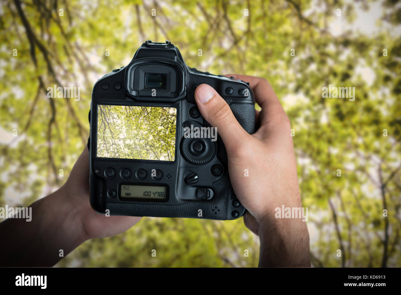 Cropped image of hands holding camera against trees against sky Stock ...