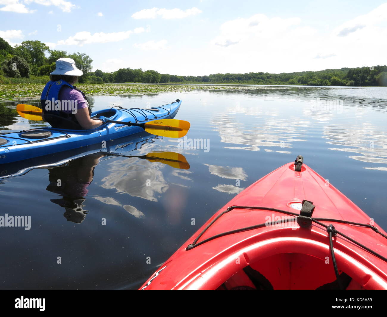 Two friends kayaking on a lake in red and blue canoes. The bow of the ...