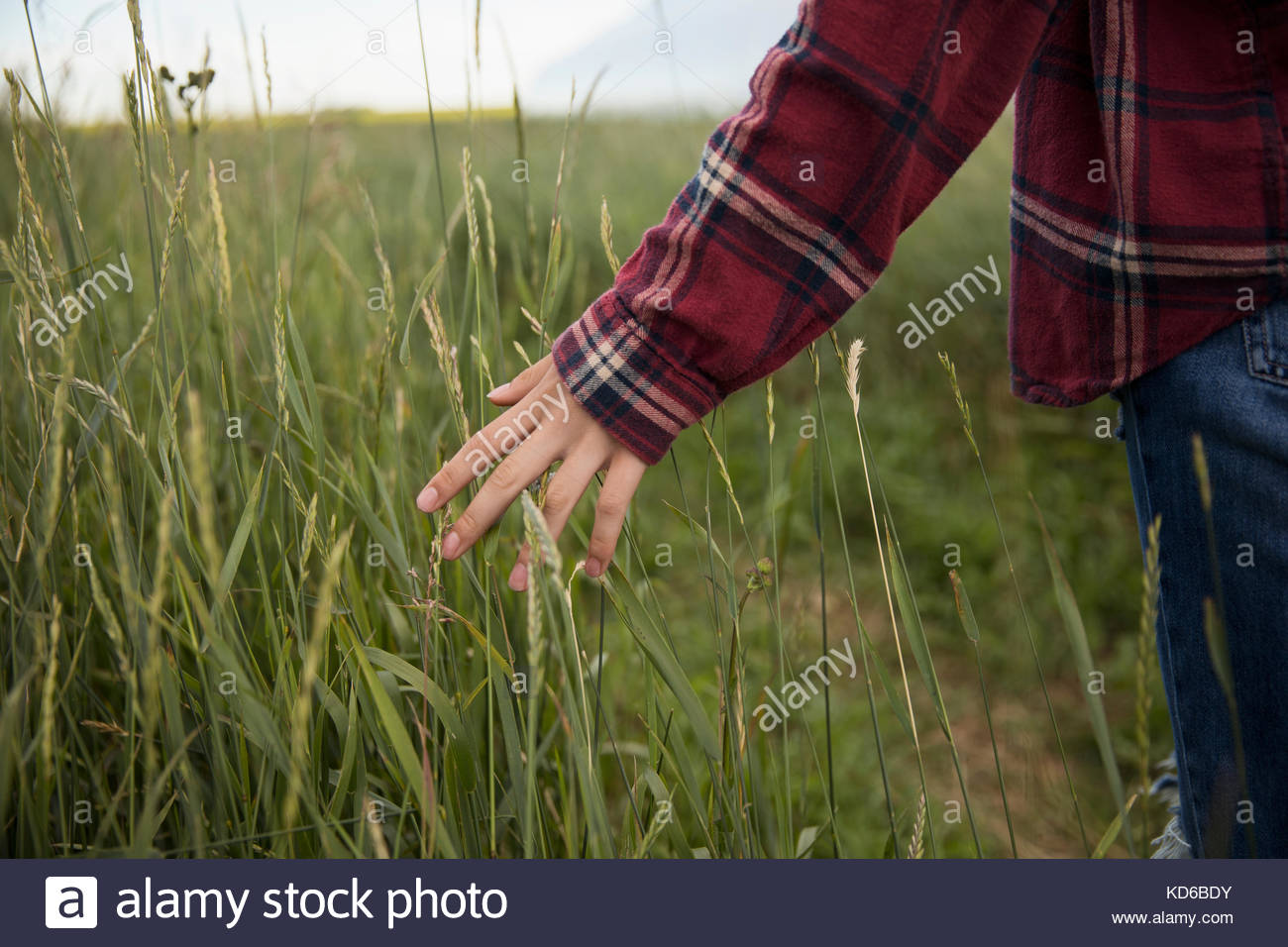 Girl touching grass hi-res stock photography and images - Alamy