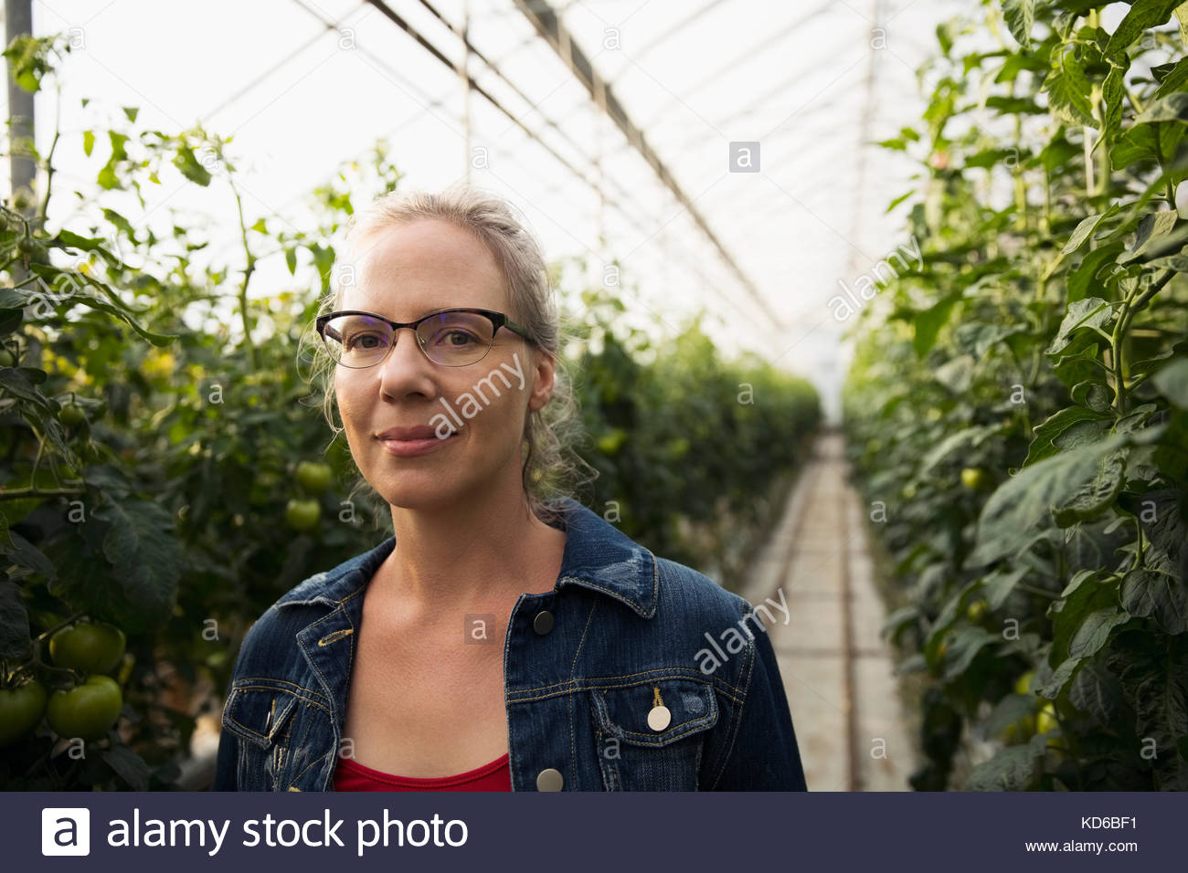 Portrait confident woman standing between tomato plants growing in ...