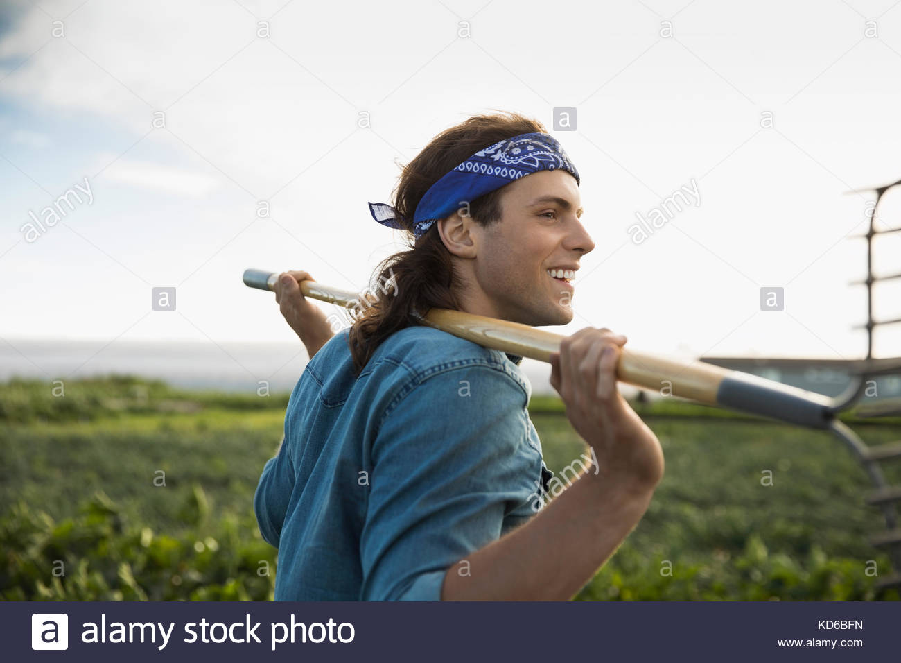 Rake head hi-res stock photography and images - Alamy