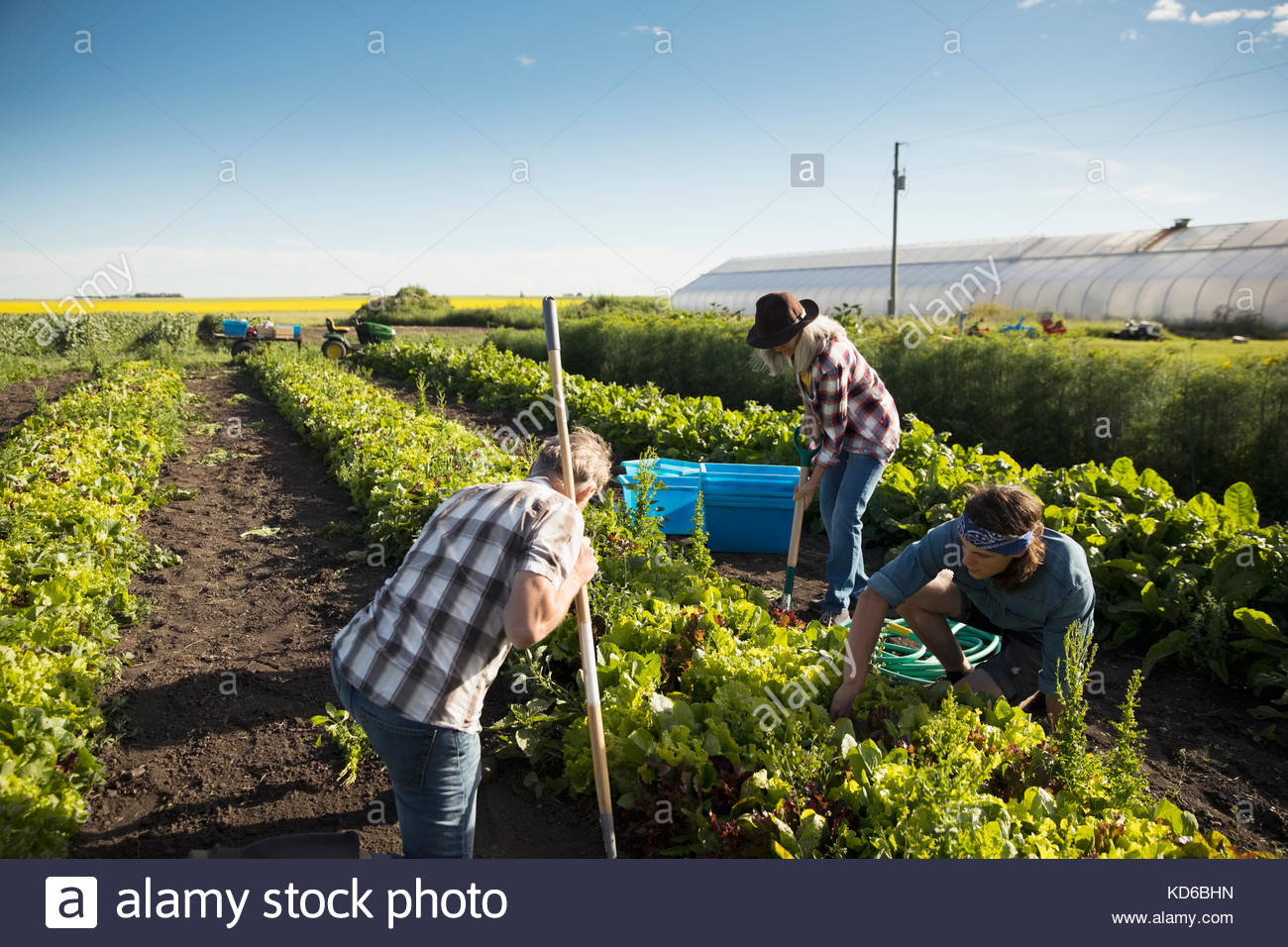 Young Farmers Stock Photos & Young Farmers Stock Images - Alamy