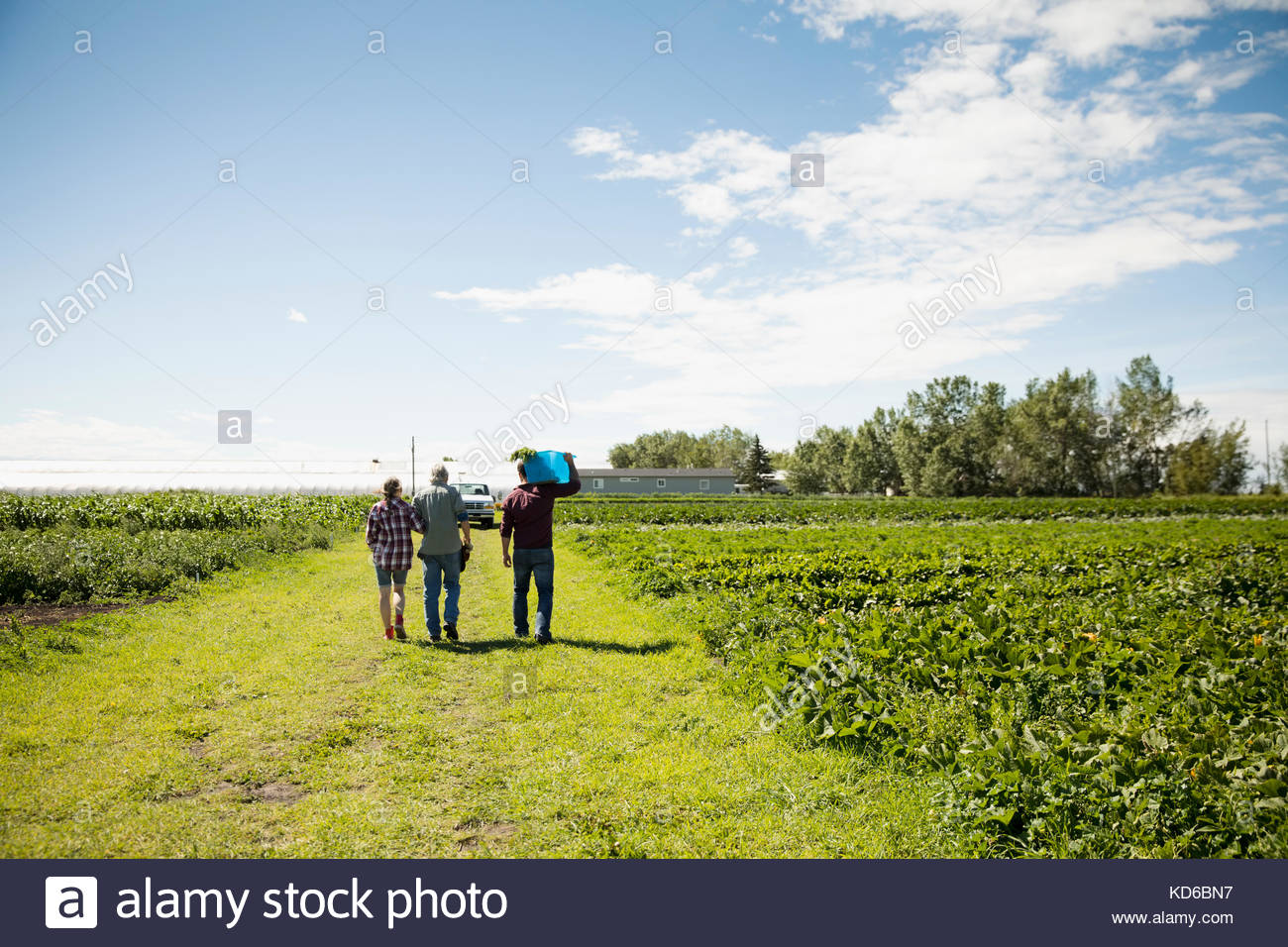 Farmer green crops hi-res stock photography and images - Alamy