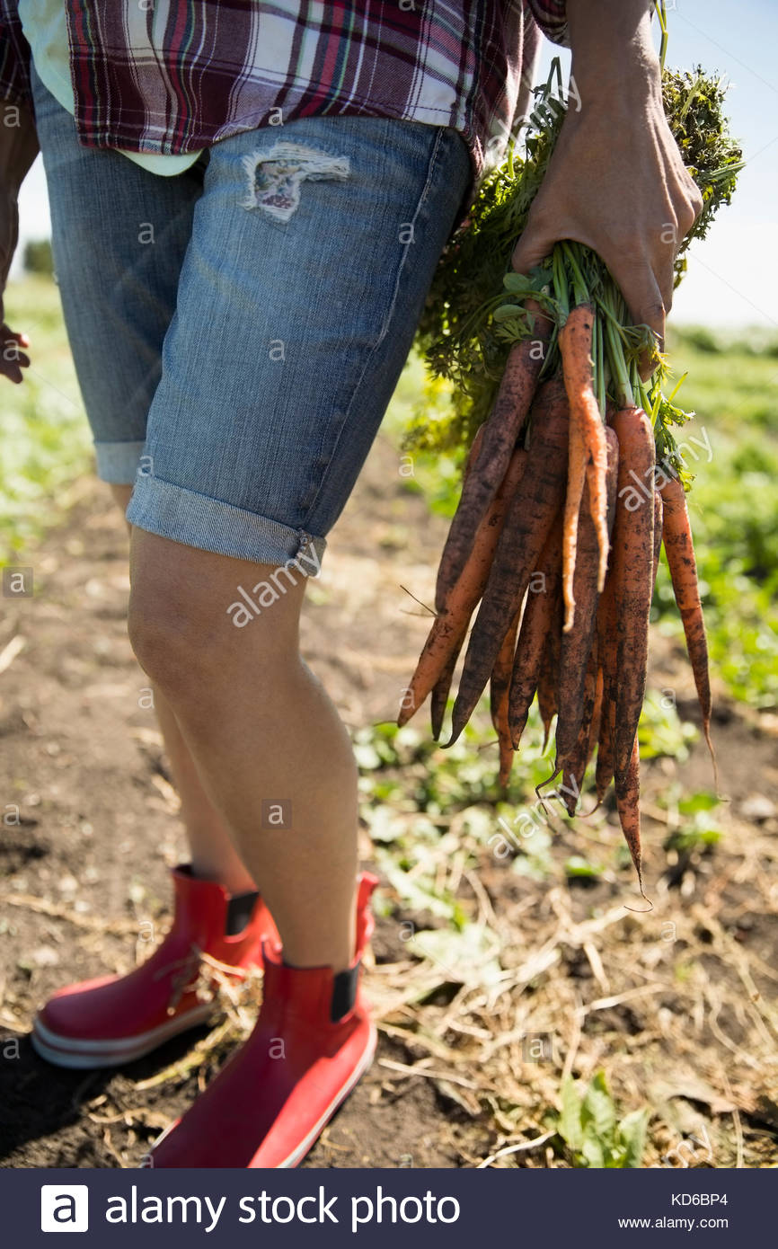 Farmer carrot hi-res stock photography and images - Alamy