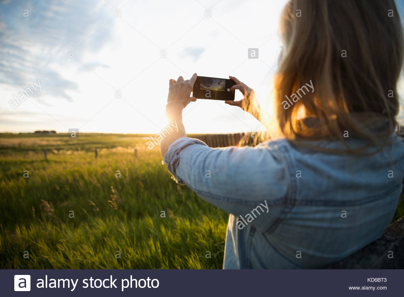 Farmer looking over a field hi-res stock photography and images - Alamy