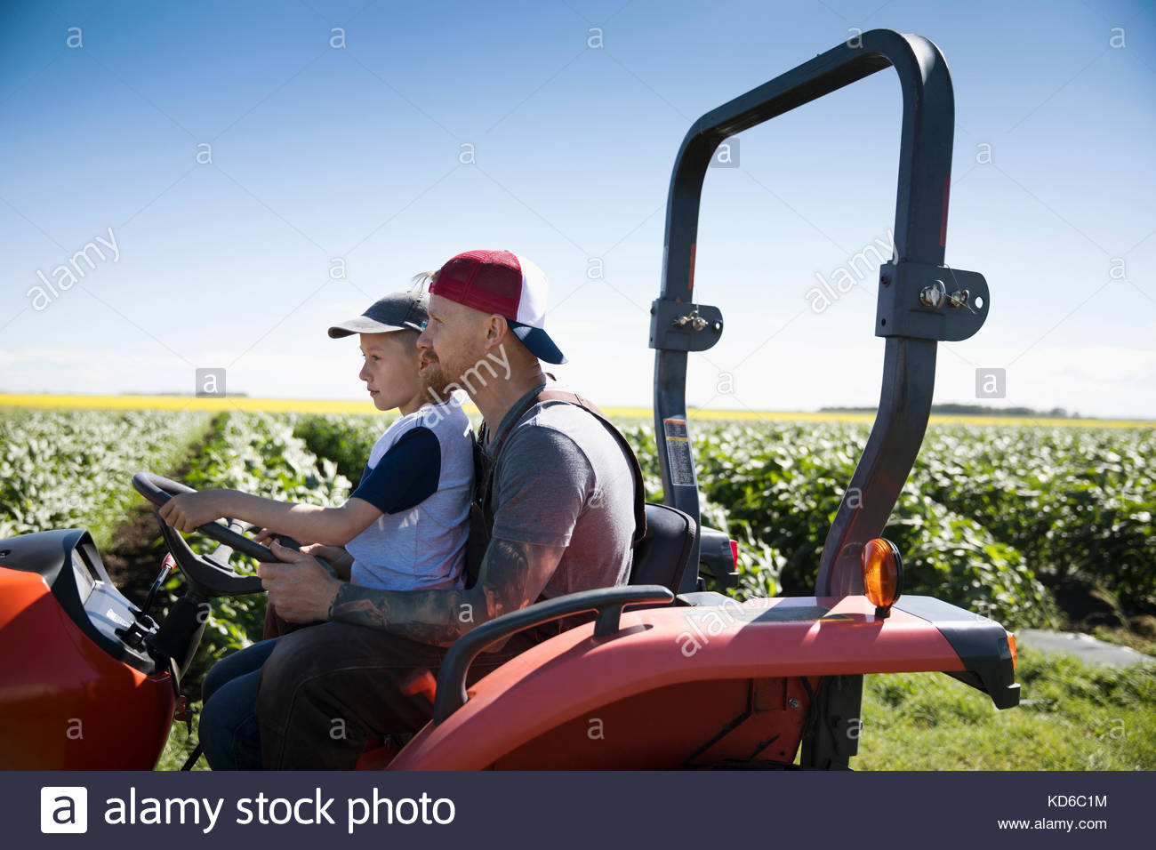 Father farmer and son driving tractor on sunny farm along crop Stock ...
