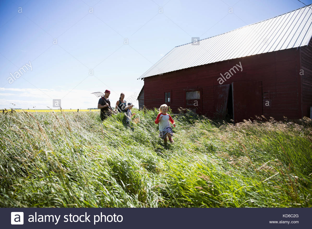 Walking in the tall grass hi-res stock photography and images - Alamy