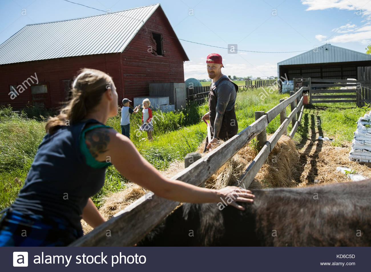 Working family hi-res stock photography and images - Alamy