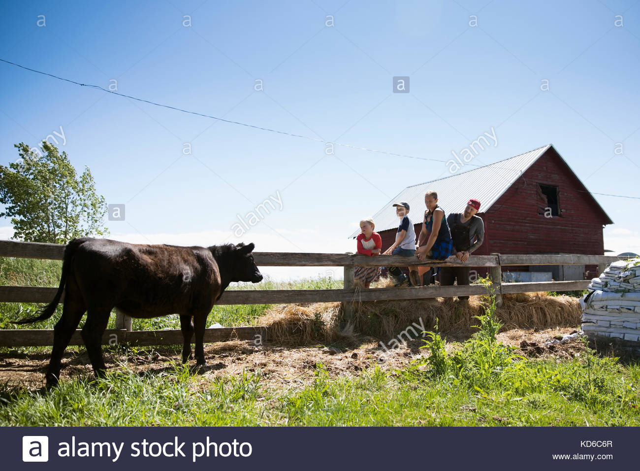 Family farm farm animals hi-res stock photography and images - Alamy