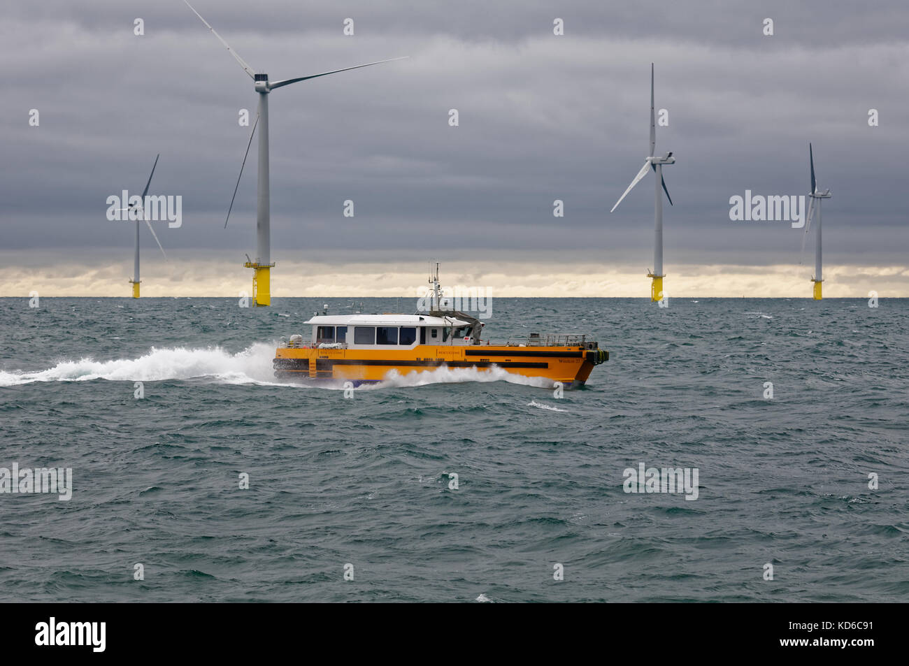 Windcat hi-res stock photography and images - Alamy
