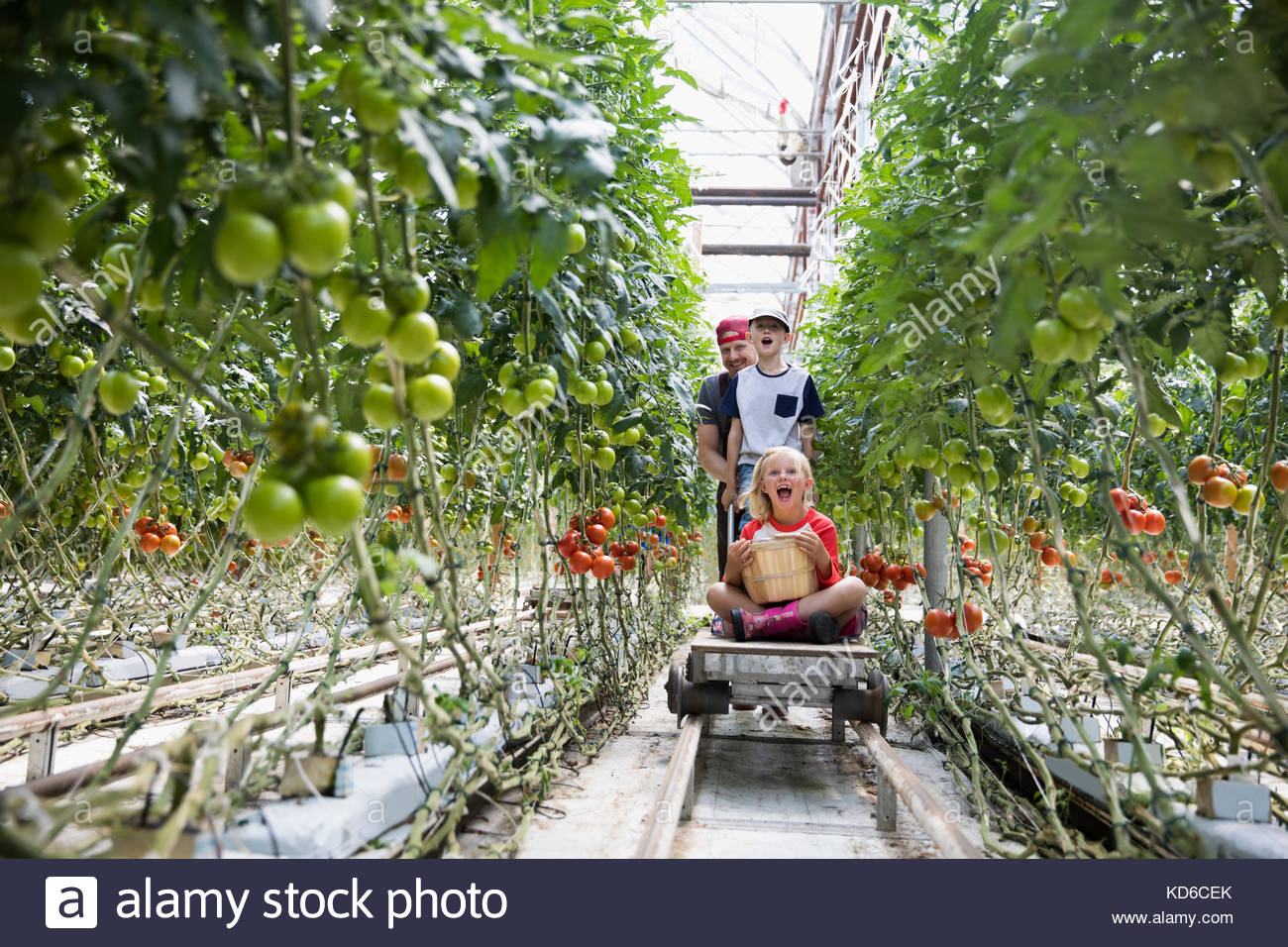 Growing children hi-res stock photography and images - Alamy
