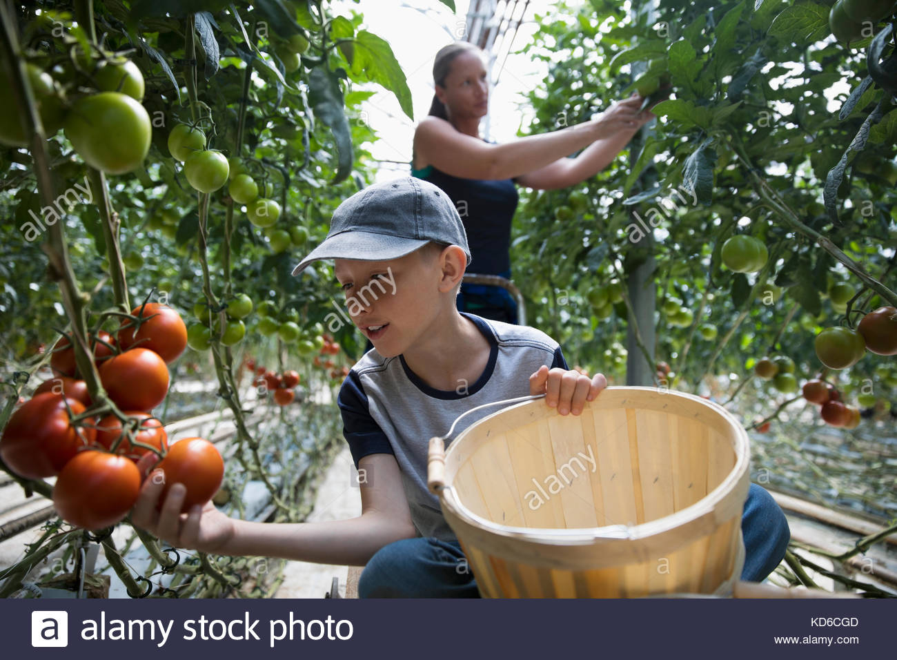 Boy greenhouse hi-res stock photography and images - Alamy