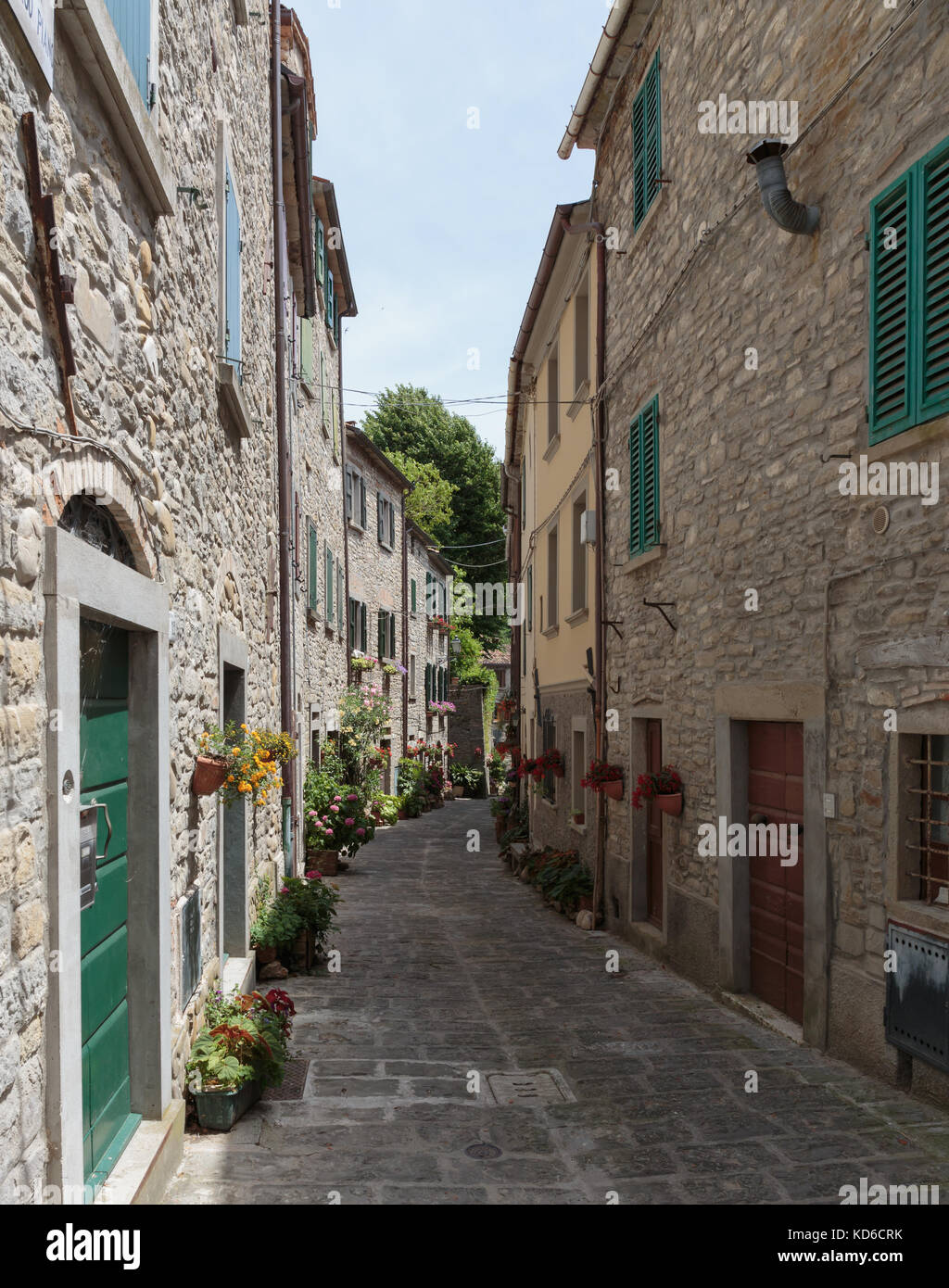 Narrow old street with flowers in Italy Stock Photo - Alamy
