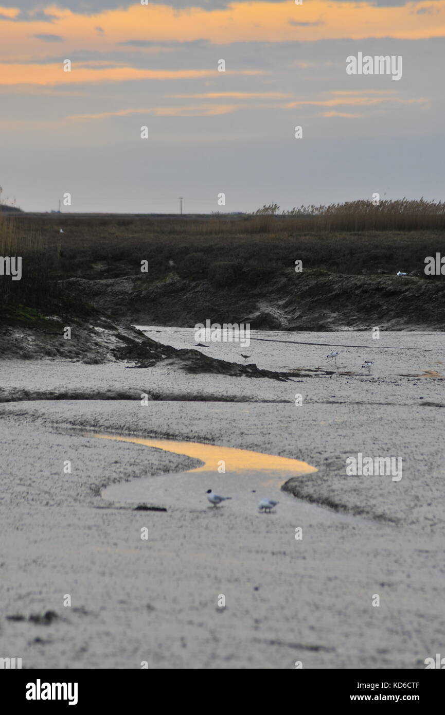 Various Views of North Norfolk Stock Photo - Alamy