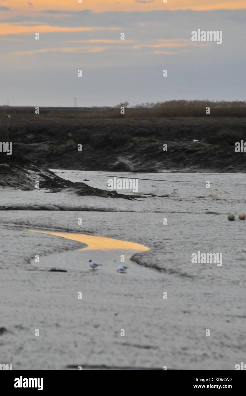 Various Views of North Norfolk Stock Photo - Alamy
