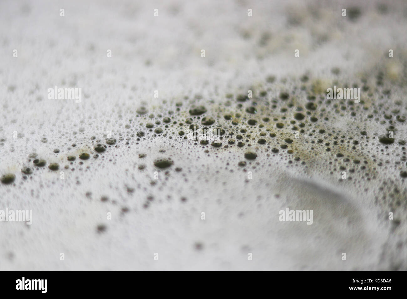 Dirty washing up soap sud bubbles close up in a bowl Stock Photo - Alamy