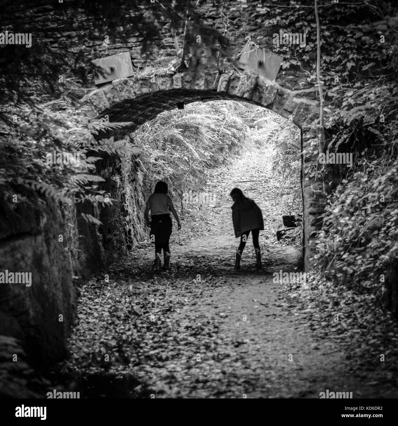 Bingley st ives estate hi-res stock photography and images - Alamy