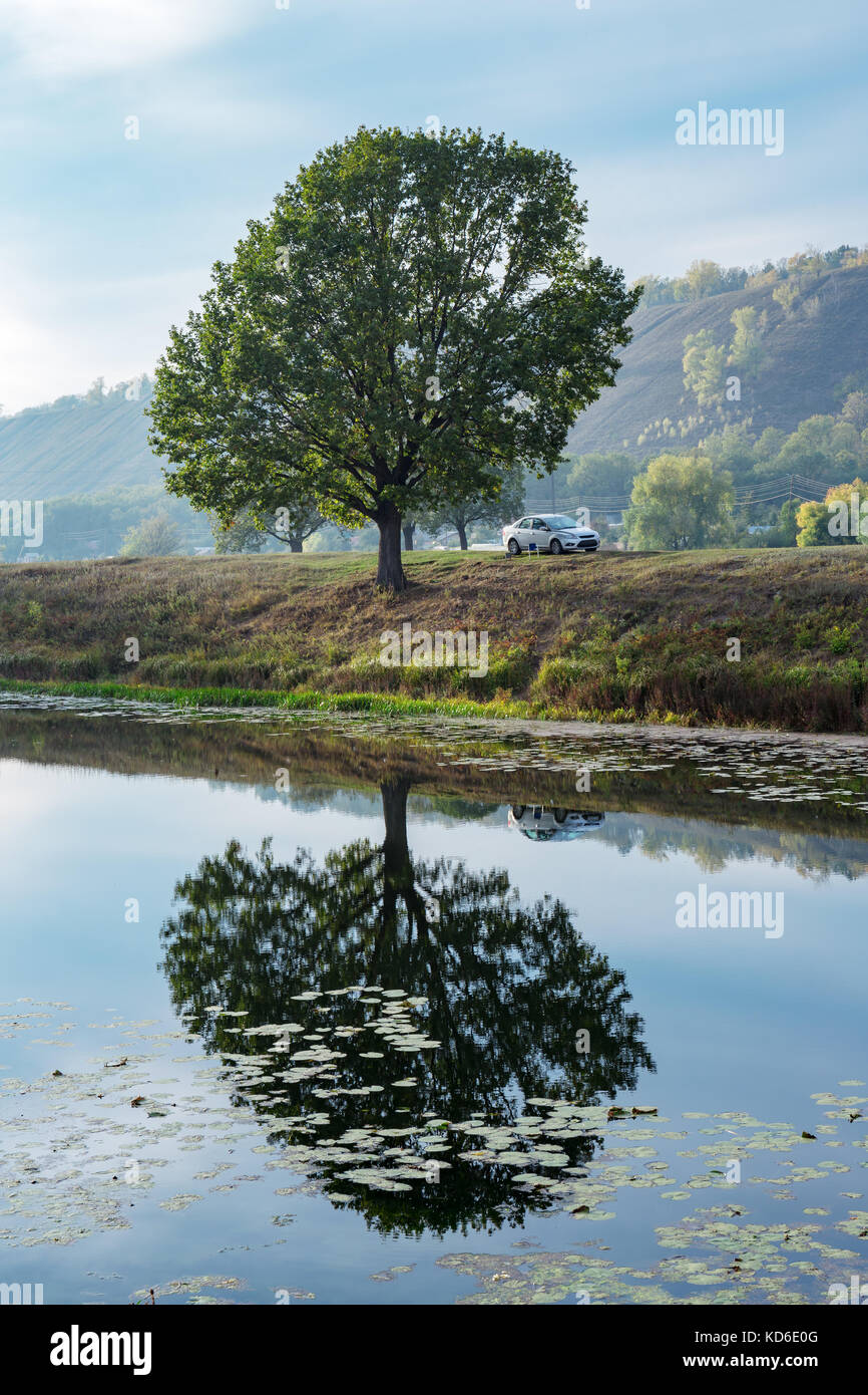 Pond in the countryside in autumn at sunset Stock Photo - Alamy