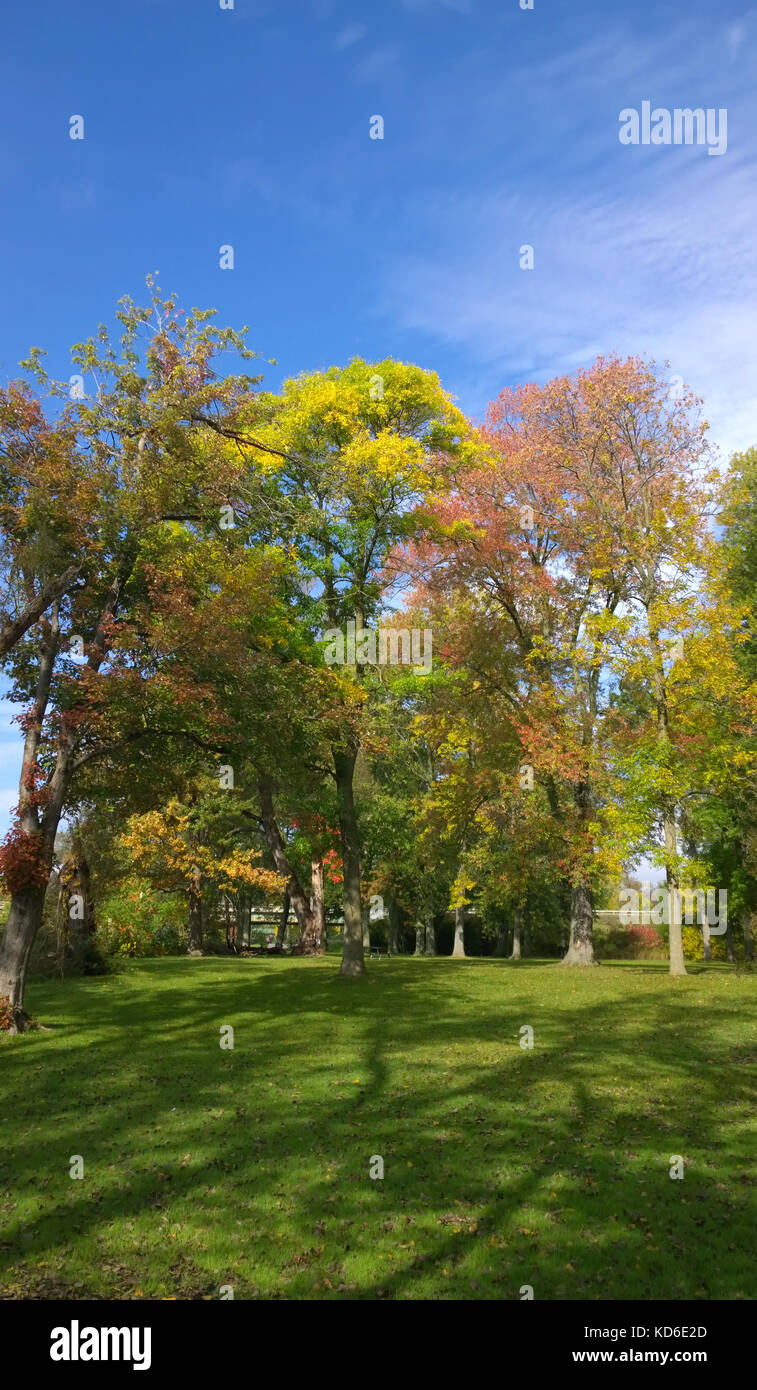 pretty park in fall Stock Photo - Alamy