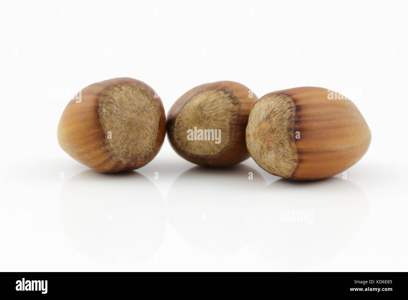 Hazelnuts macro close up in studio on white backround Stock Photo - Alamy