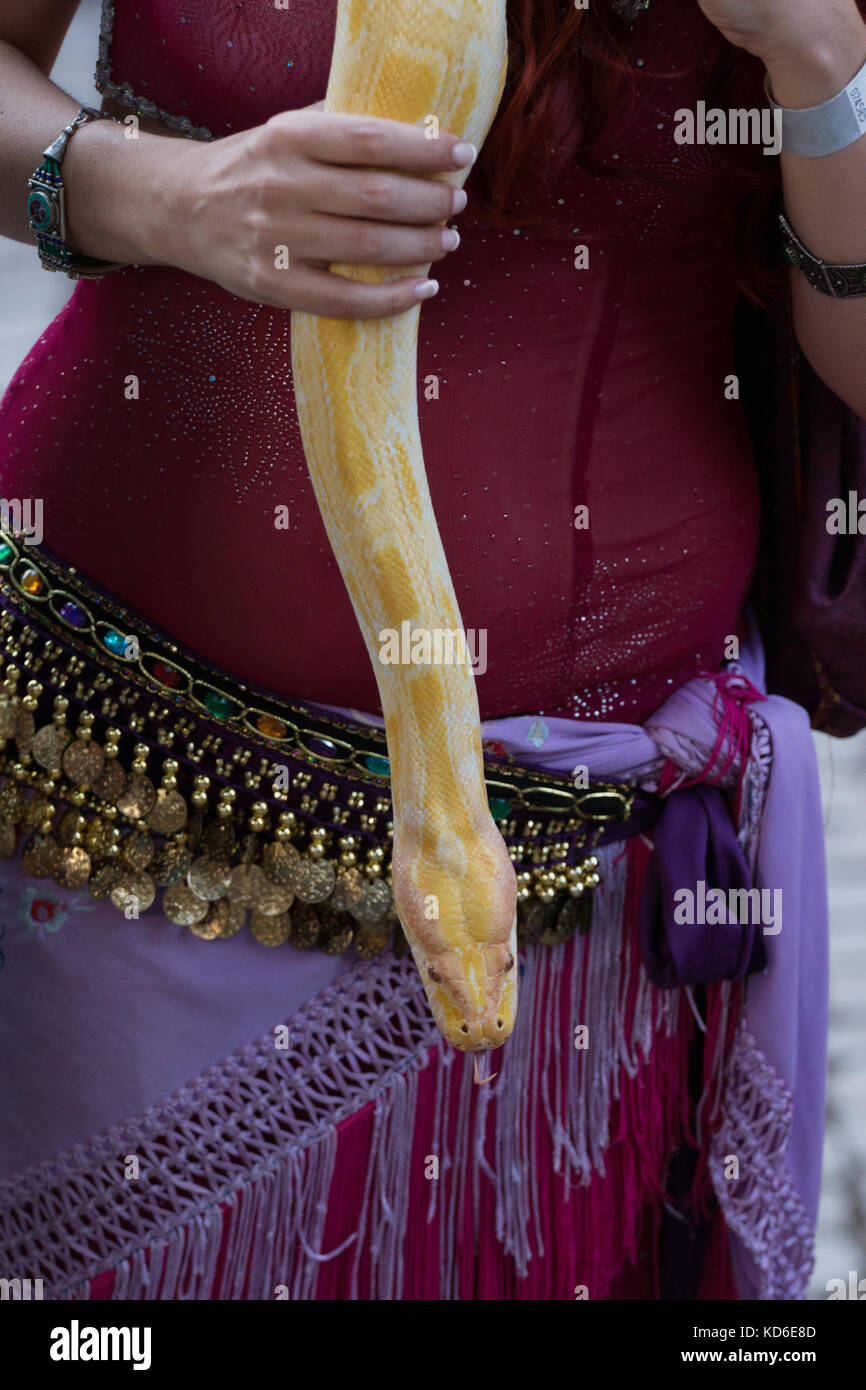 Belly dancer handling an albino Burmese python snake Stock Photo - Alamy