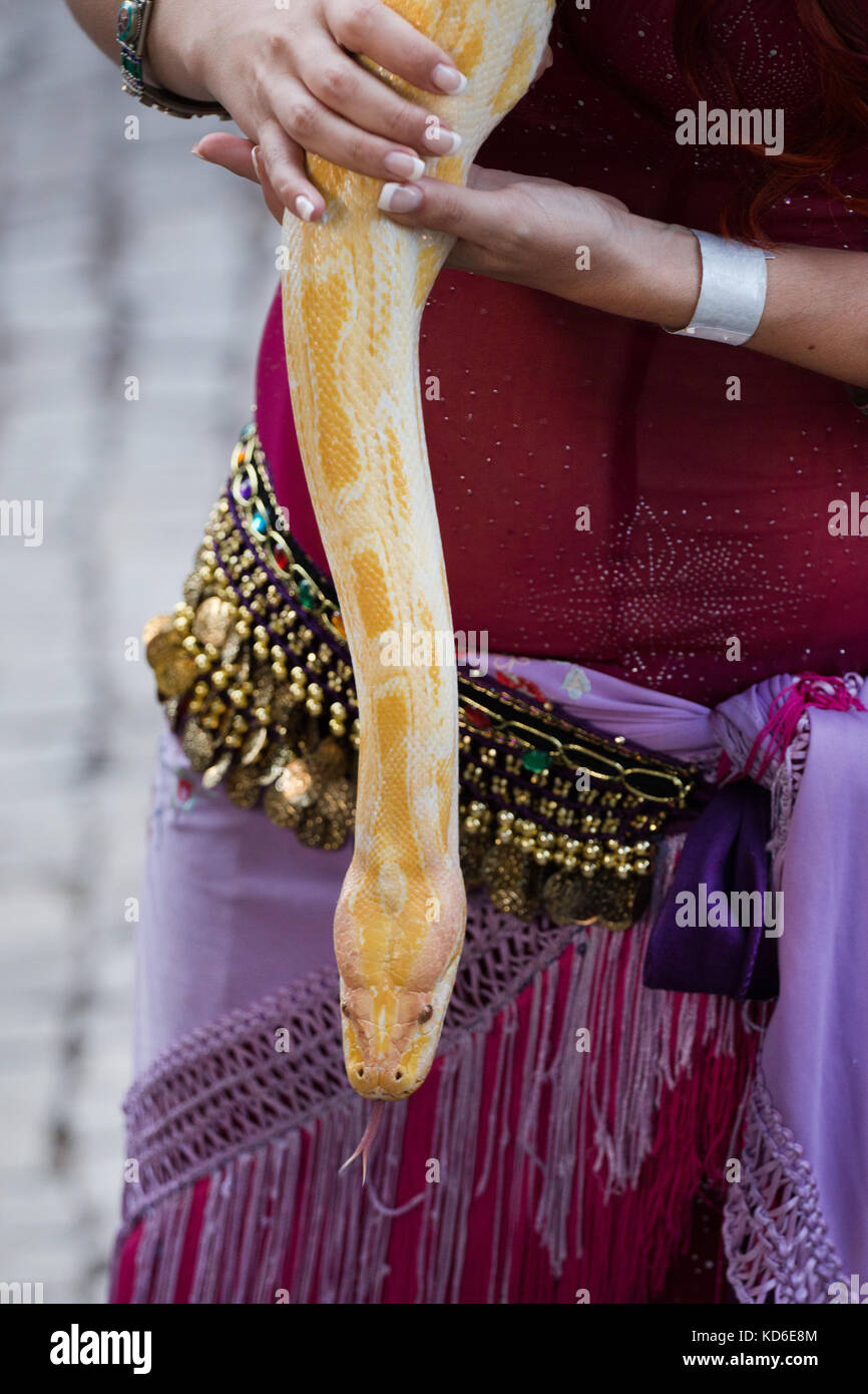 Woman holding albino snake hi-res stock photography and images - Alamy