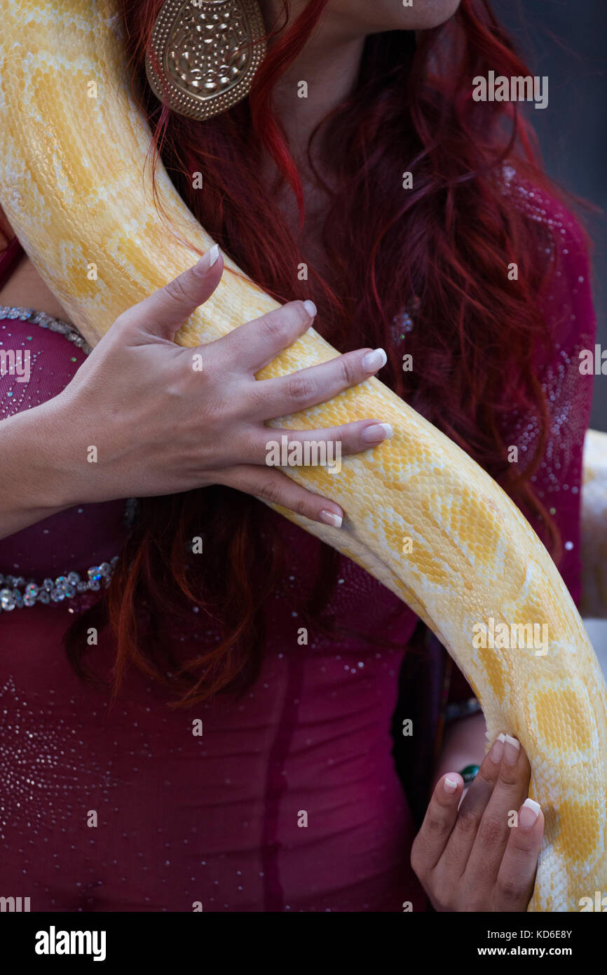 Woman holding albino snake hi-res stock photography and images - Alamy