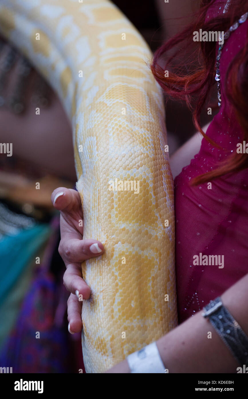 Woman albino burmese hi-res stock photography and images - Alamy