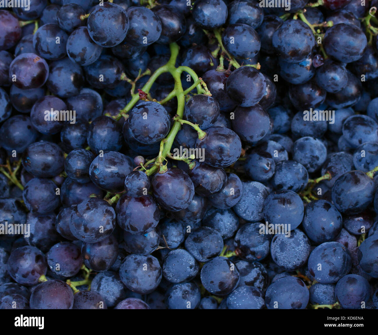 Fresh organic ripe black grapes pile background Stock Photo - Alamy