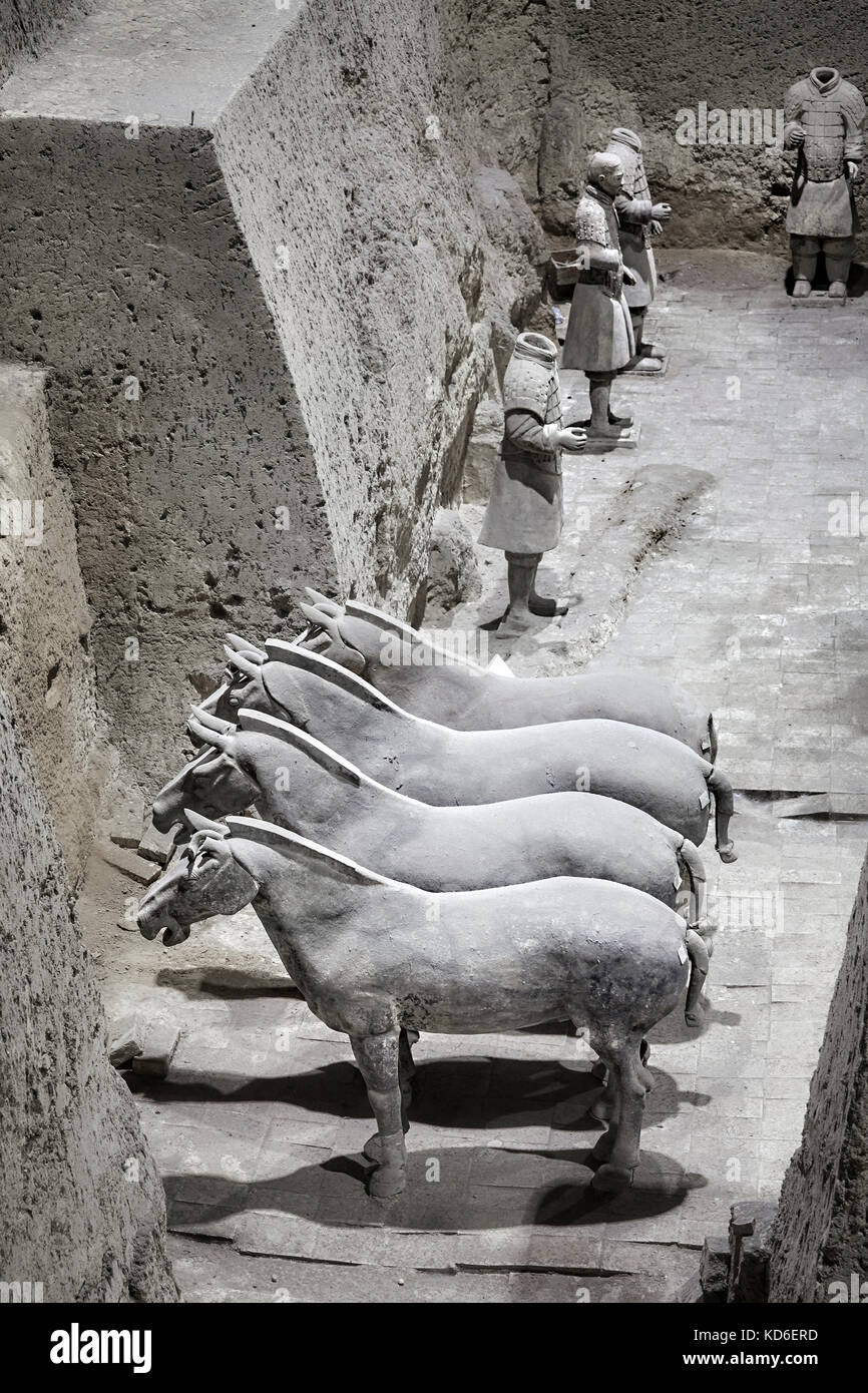 Terracotta army horse hi-res stock photography and images - Alamy