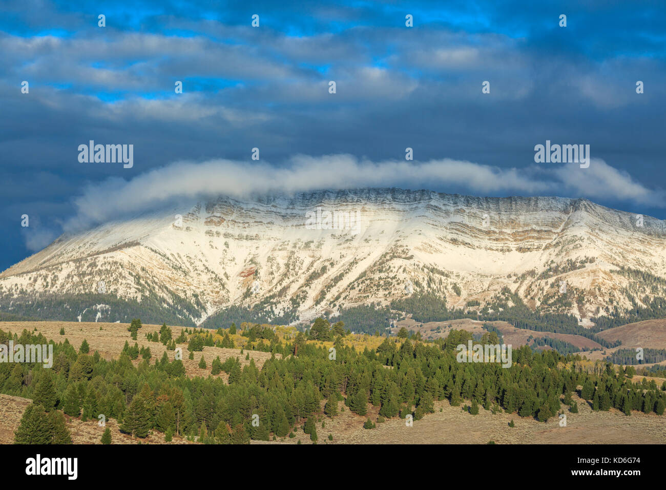 morning light on hogback mountain in the snowcrest range near alder ...