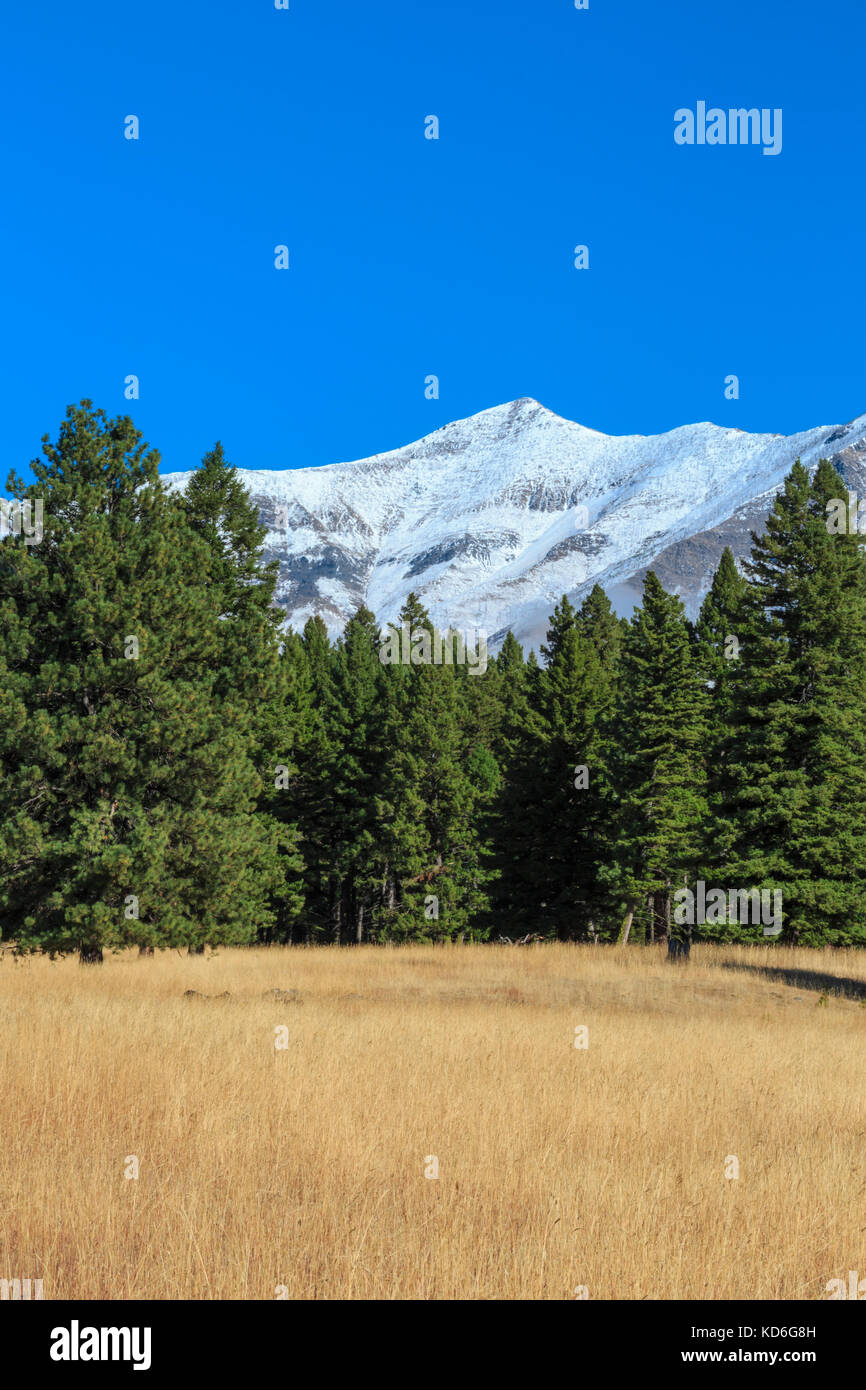 Scapegoat wilderness hi-res stock photography and images - Alamy