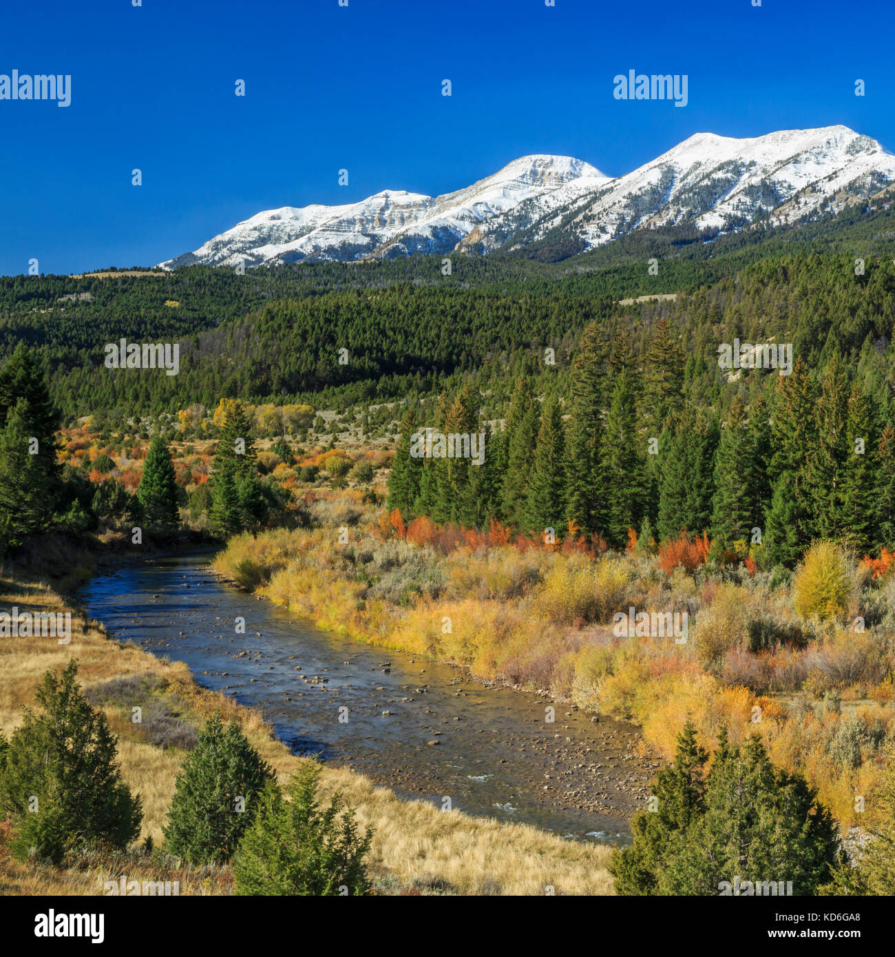 ruby river below snow-capped peaks of the snowcrest range in autumn ...