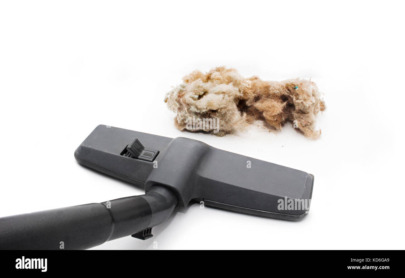 Vacuum Cleaner Arm Against Dust, Isolated on White Background Stock ...